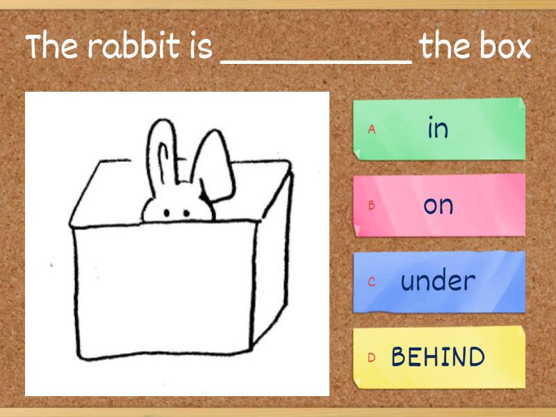 PREPOSITIONS OF PLACE - Where's the cat/rabbit? - Викторина
