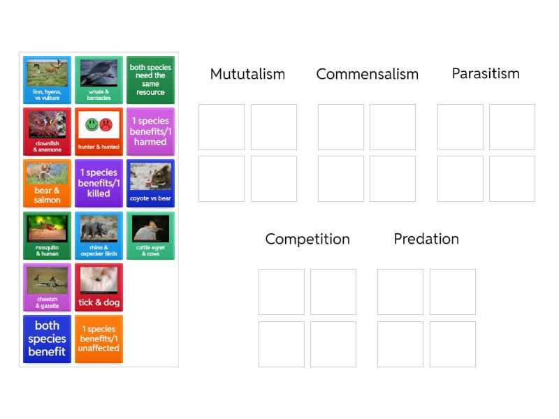 Symbiosis Review - Group sort
