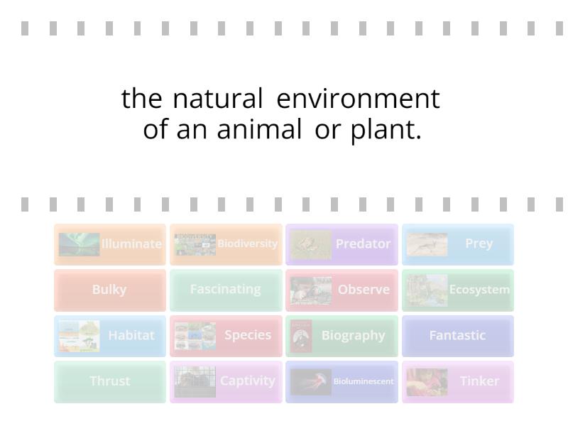 WW Grade 3 Module 1 Vocab - Find the match