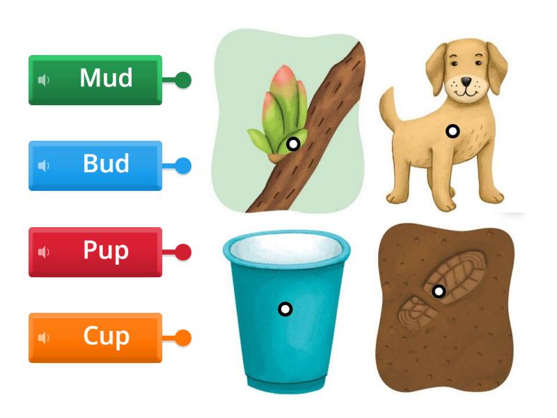 Oxford Phonics u-ug-ud-up - Labelled diagram