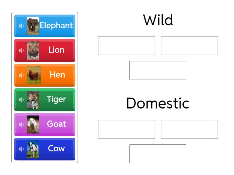 Wild and Domestic Animals. - Group sort