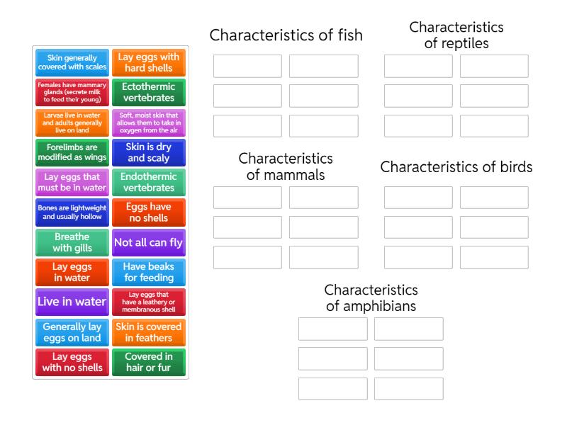 Characteristics of 5 classes of vertebrates - Ordenar por grupo
