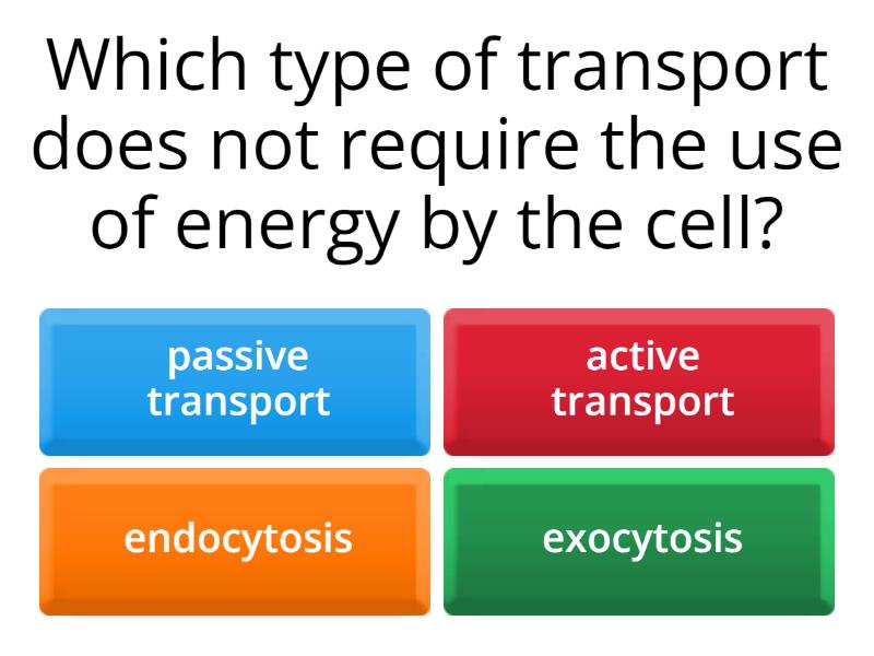 Cell Processes - Quiz