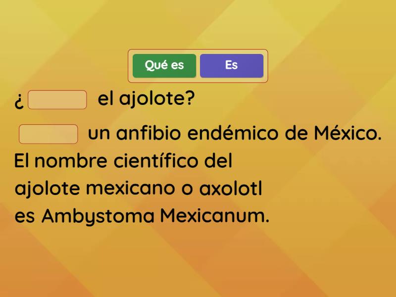 ¡Mi amigo el Ajolote! - Complete the sentence
