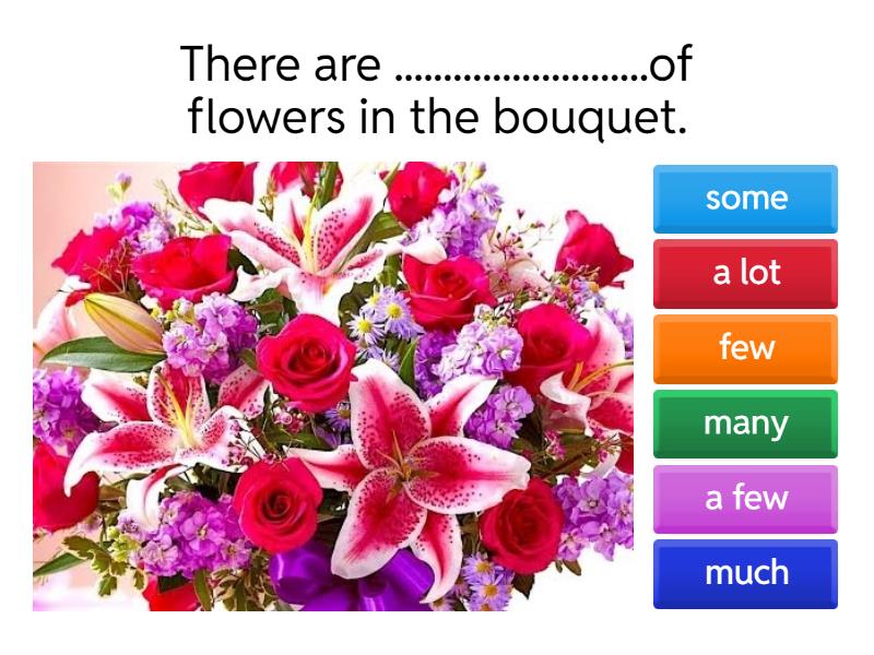 Quantifiers Fill in the blanks - Quiz