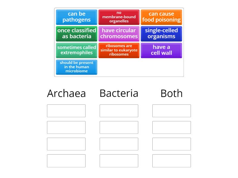 Archaea and Bacteria - Group sort