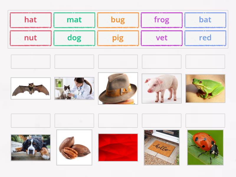 CVC Words - Match up