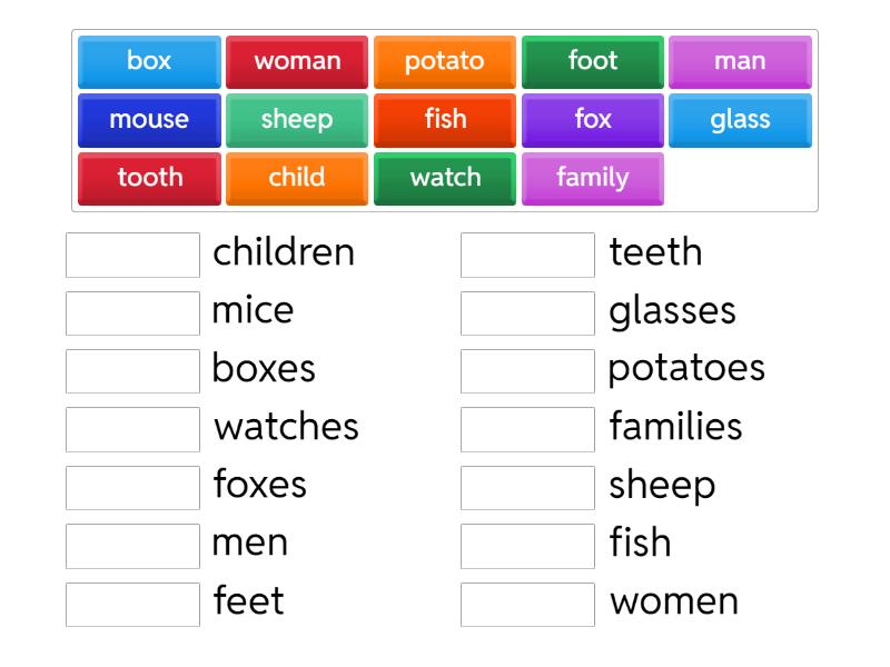 Plural nouns - Match up