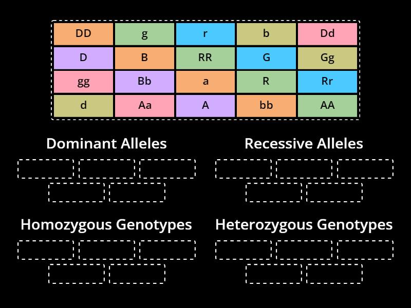 Alleles & Genotypes Combination Sorting - Group sort