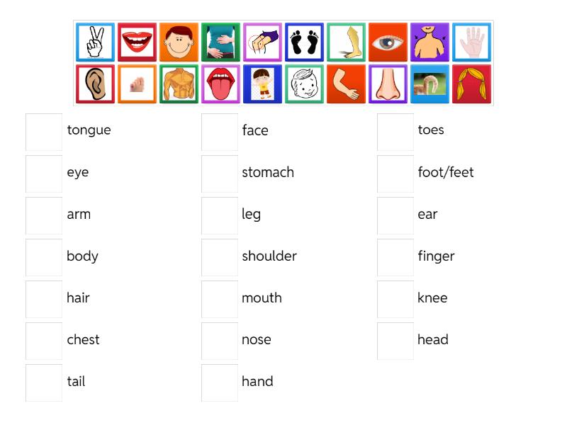 BODY PART - Match up