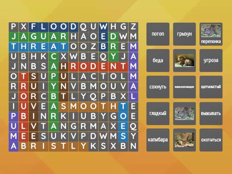 capybara - Wordsearch