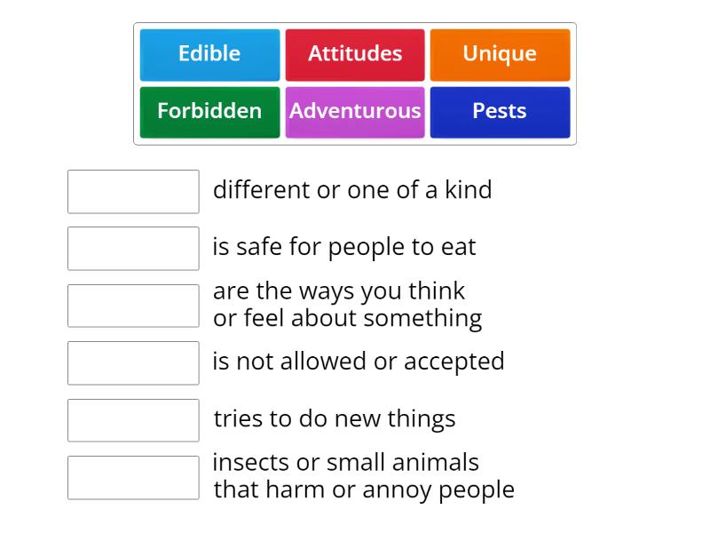 4th Grade Module 8 Week 2 Vocabulary - Match up