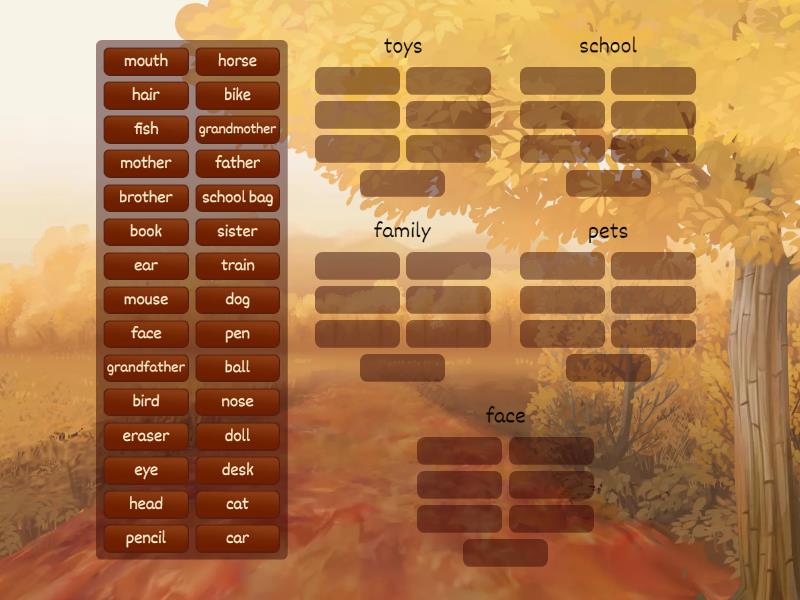 KB1 U1-6 Sort the nouns - Group sort