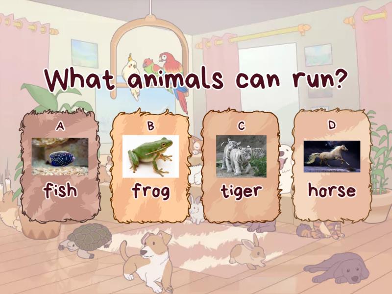 Unit 2: At the Zoo - 測驗