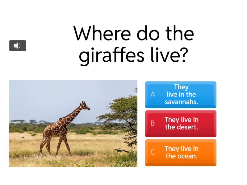 Unit 5 lesson 6 - Quiz