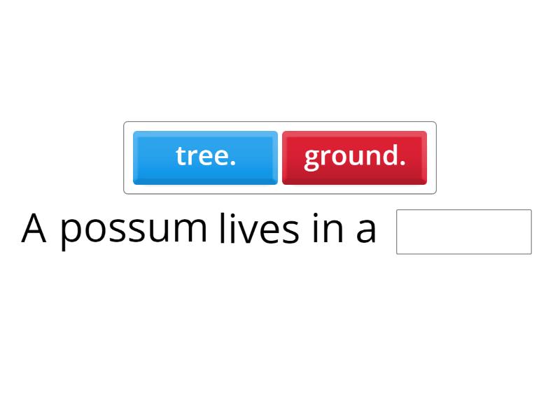 Australian animals - Complete the sentence