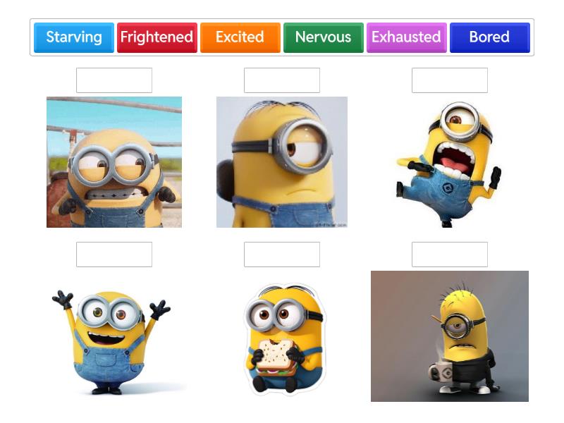 Minions - part 1 (emotions) - Match up