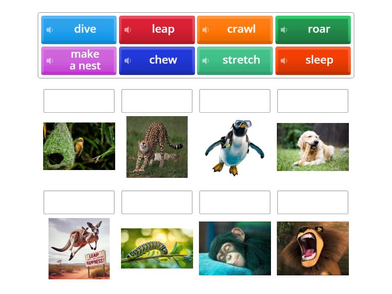 Beehive 4, unit 1, lesson 3 - Сопоставить