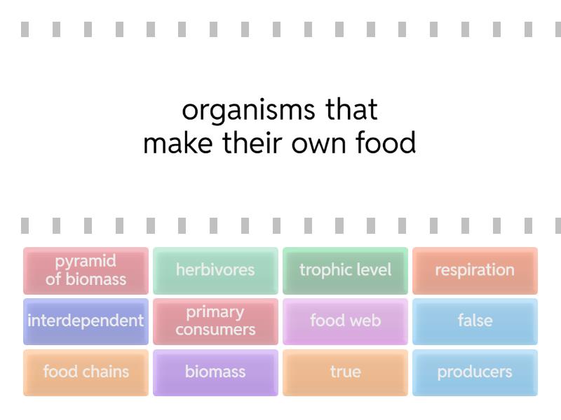 EP6 interdependence and food webs wordwall - Find the match