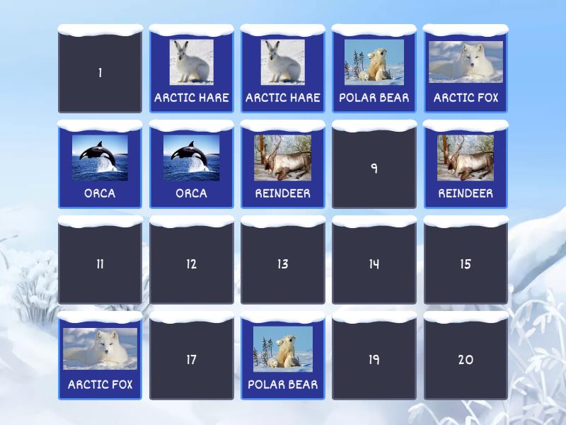 ARCTIC ANIMALS - Matching pairs