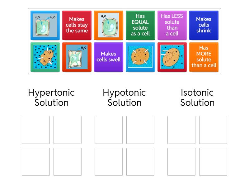 Osmosis - Tonicity Sort - Group sort