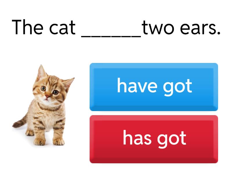 Have got/has got positive Spotlight 3 - Quiz