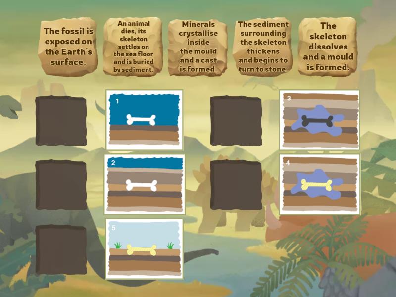 HOW DO FOSSILS FORM? - Match up