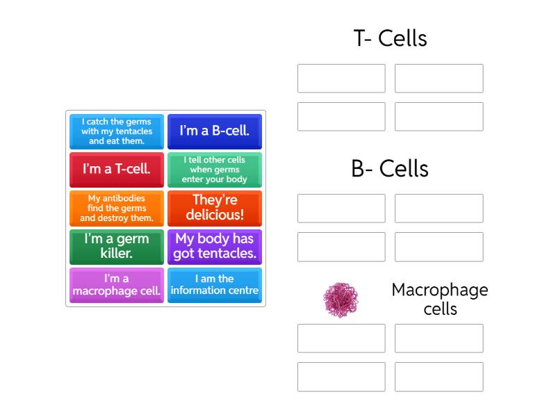 7B U2 Cells - Group sort