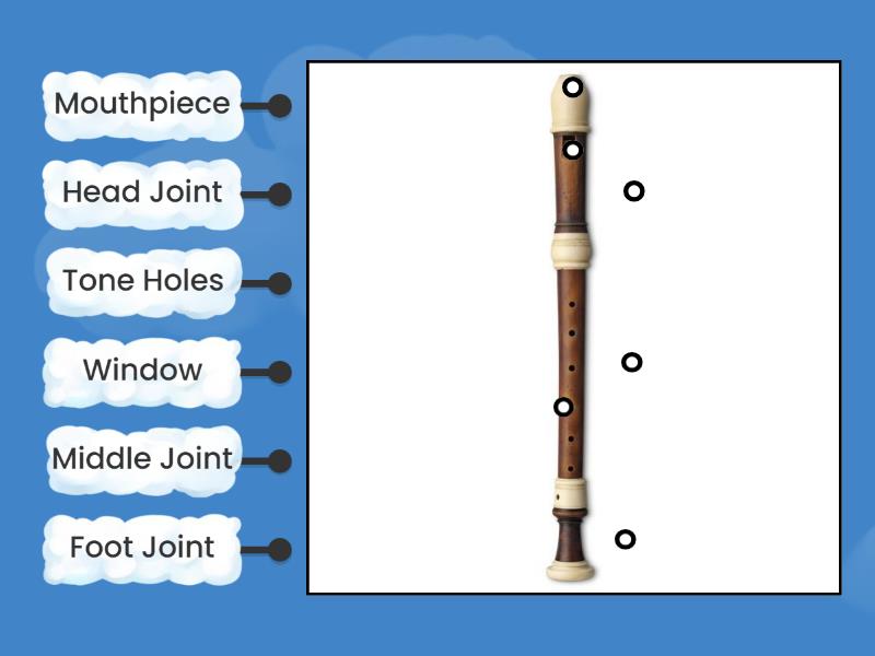 Label The Recorder's Part - Labelled diagram