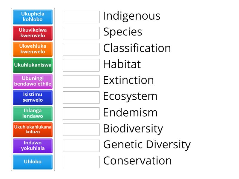 Biodiversity and Classification activity - Match up