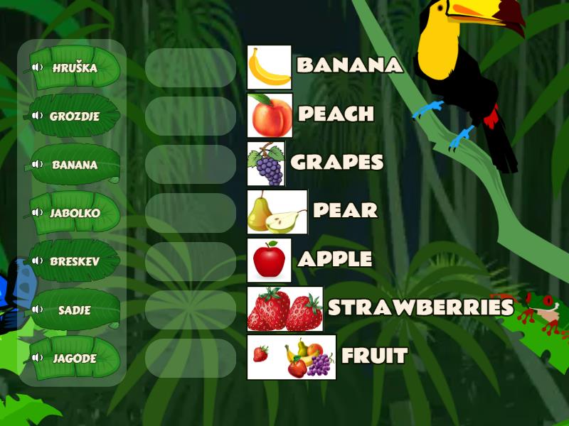 Lesson No 10: FRUIT - - Match up