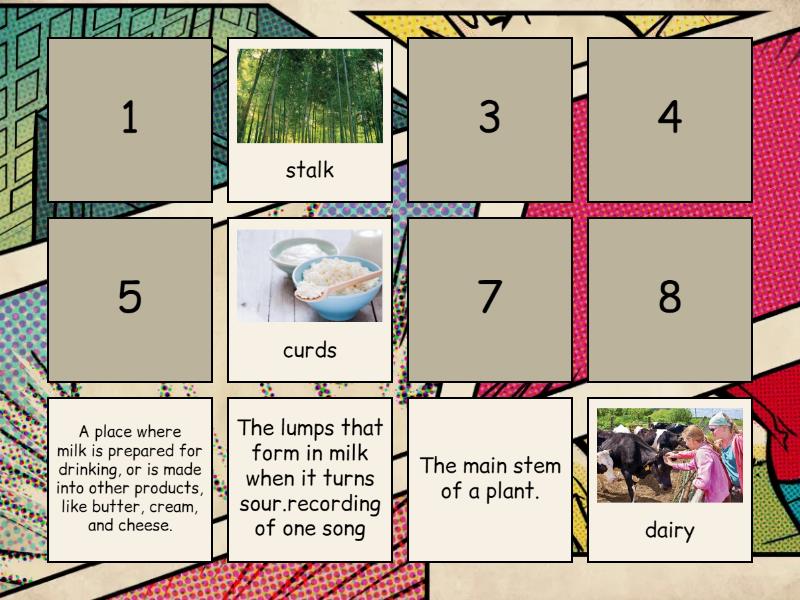 How Did That Get in My Lunchbox?! Vocabulary Words - Matching pairs