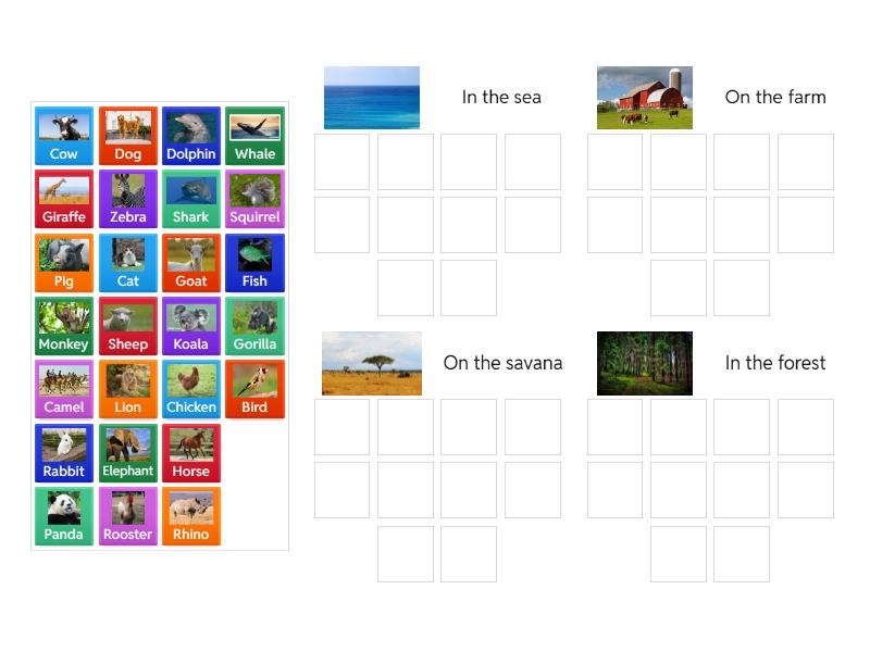 Where do these animals live? - Group sort