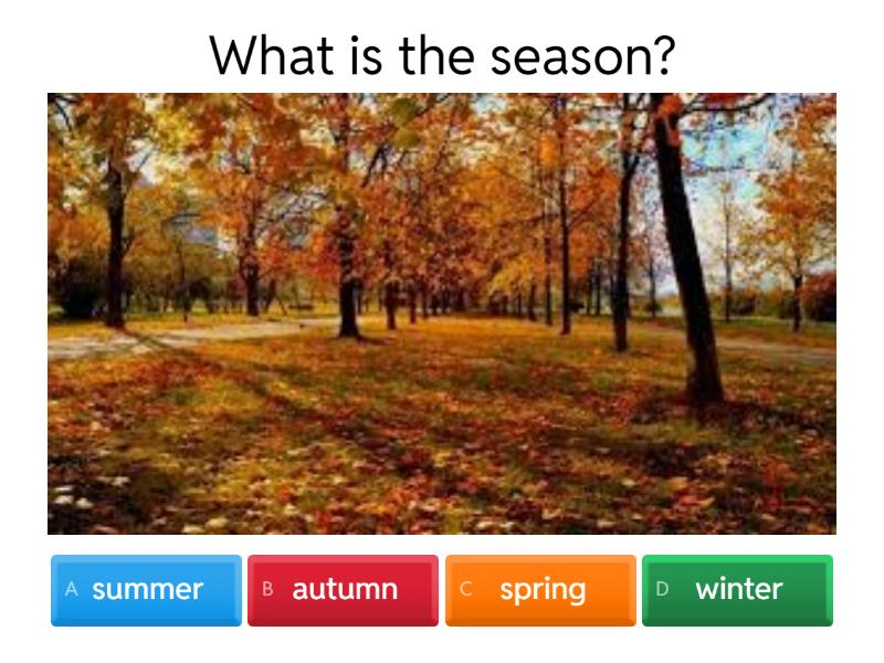 The four seasons - Quiz