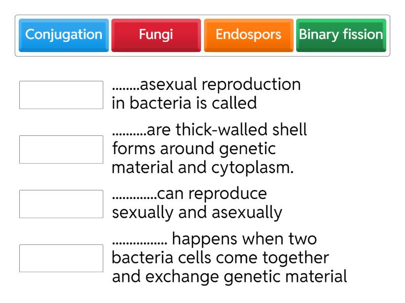Topic 10 Lesson 3 Viruses, Bacteria, Protists and Fungi - Match up