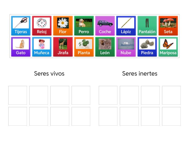 Seres vivos y seres inertes - Group sort
