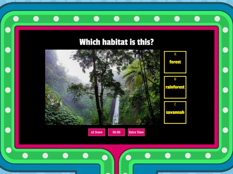 Rainforest Habitat BIS - Gameshow quiz