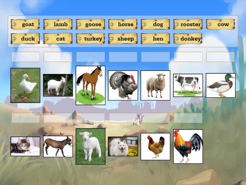 Farm animals - Match up