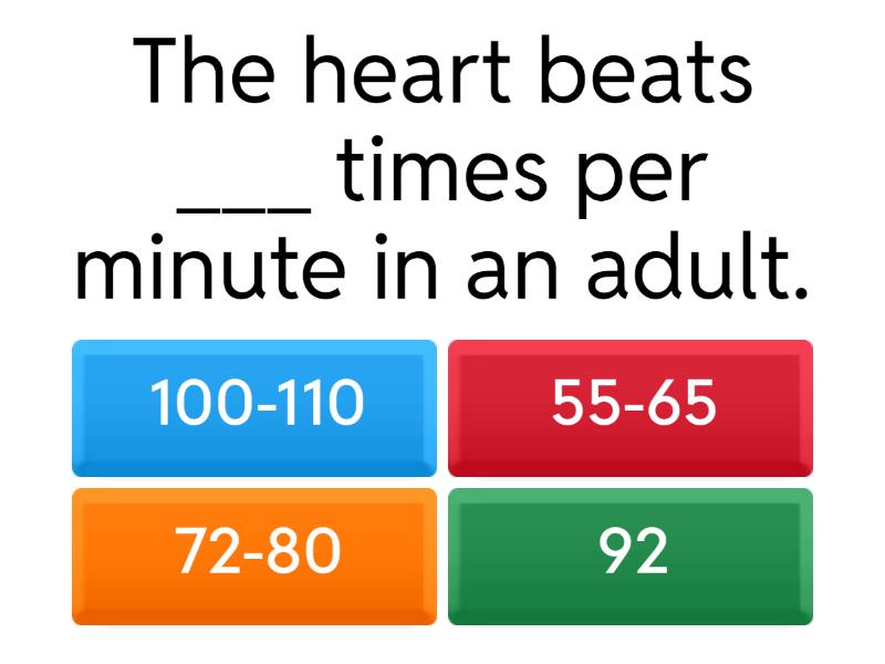 TEST CARDIOVASCULAR SYSTEM + - Quiz
