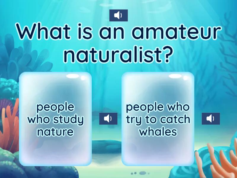 Giant Squid Part 1 Comprehension Questions and Text Features - Quiz