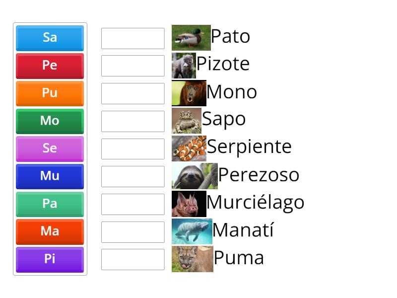 Parejas silvestres - Une las parejas