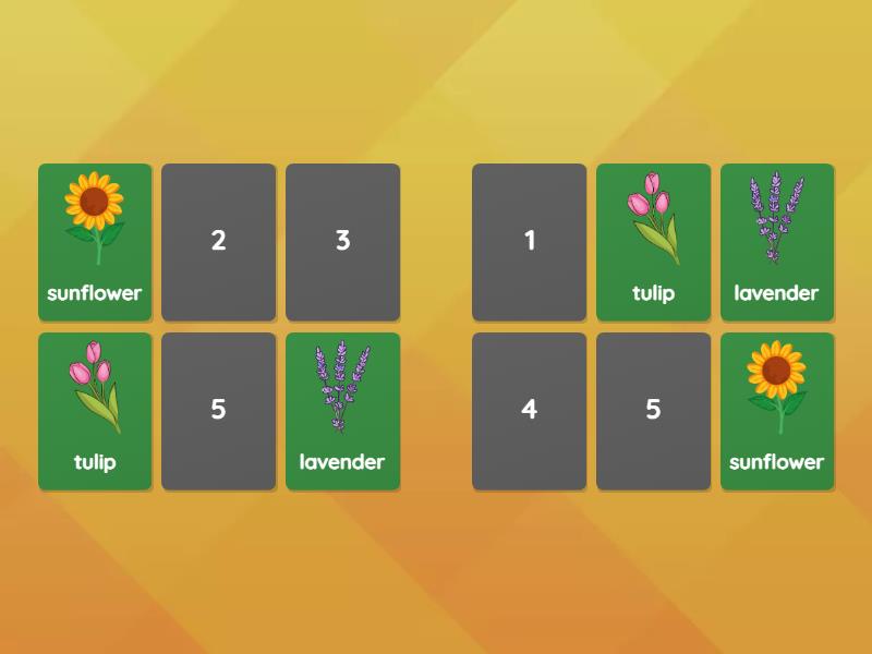 Garden Flowers - Matching pairs