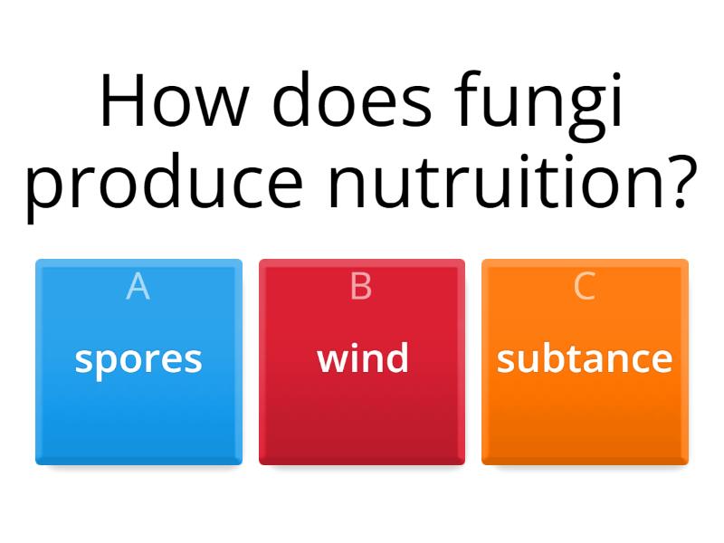 fungi kingdom quiz - Cuestionario