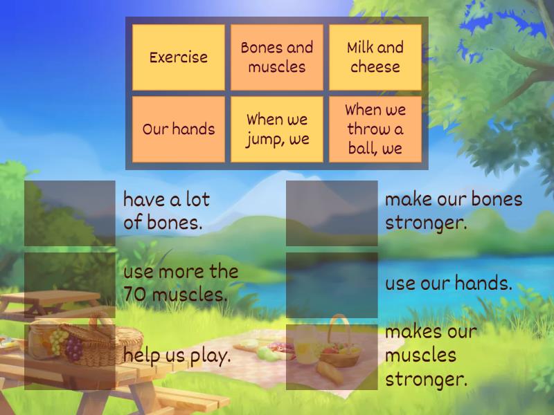 Bones and muscles. Reading. Comprehension 2 - Сопоставить