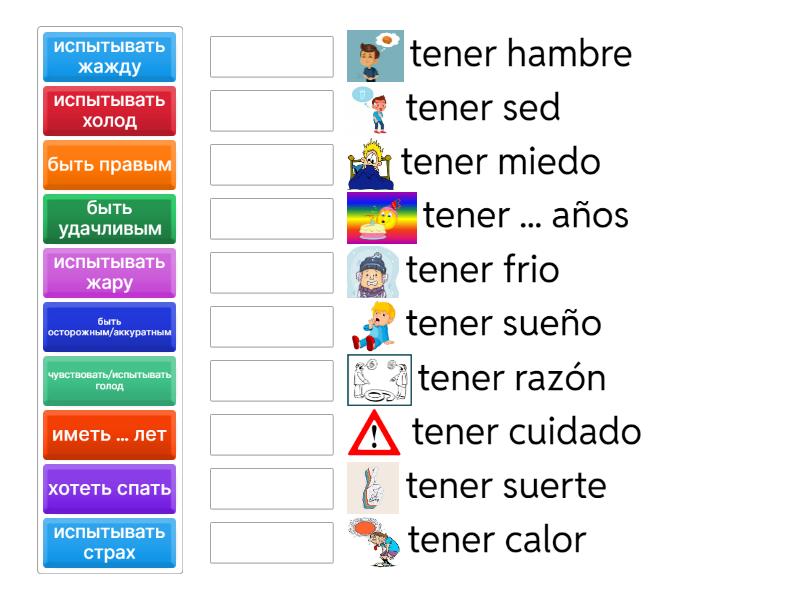 Expresiones con el verbo tener - Match up