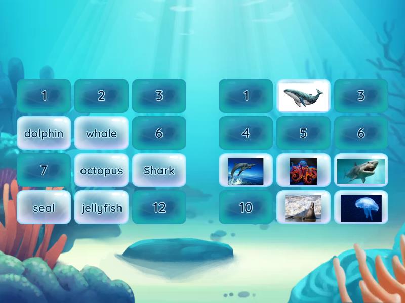 match (sea animals) - Matching pairs
