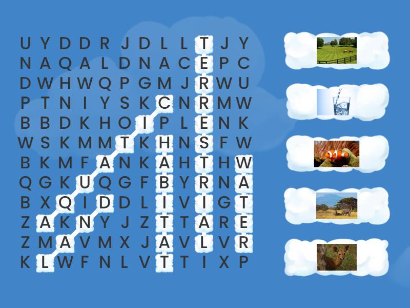Animal Kingdom - Wordsearch