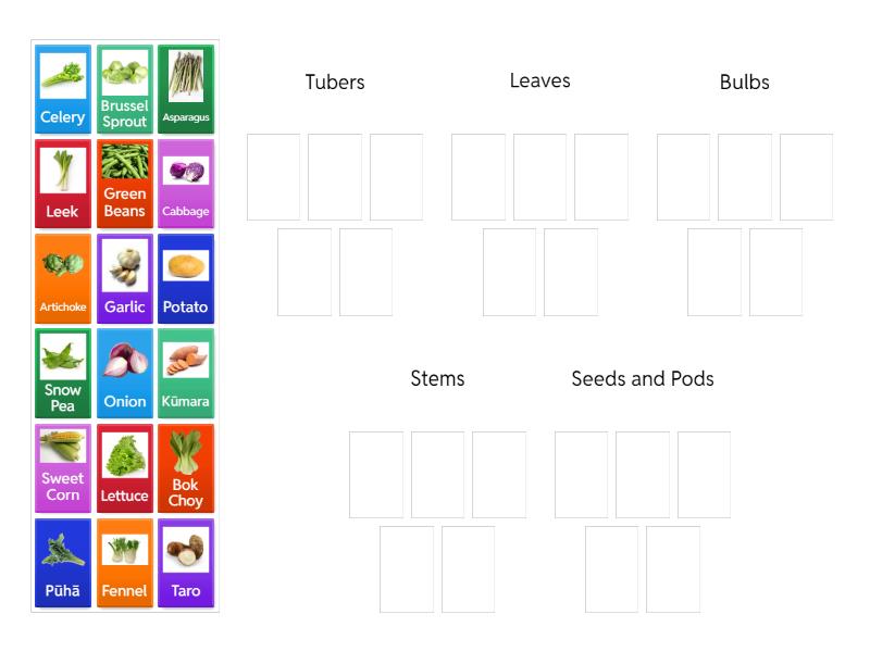 Vegetable Classfication Game - Group sort
