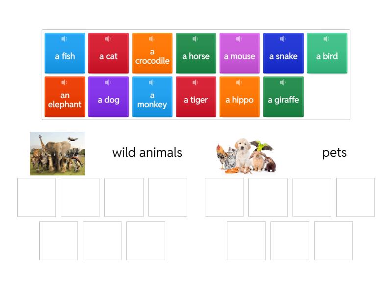 Kid's box 1 UNIT 7 PET vs WILD ANIMALS - Group sort