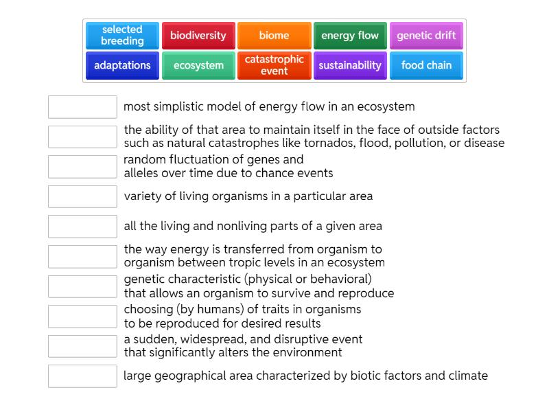 Adaptations and Ecosystems Vocabulary - Match up